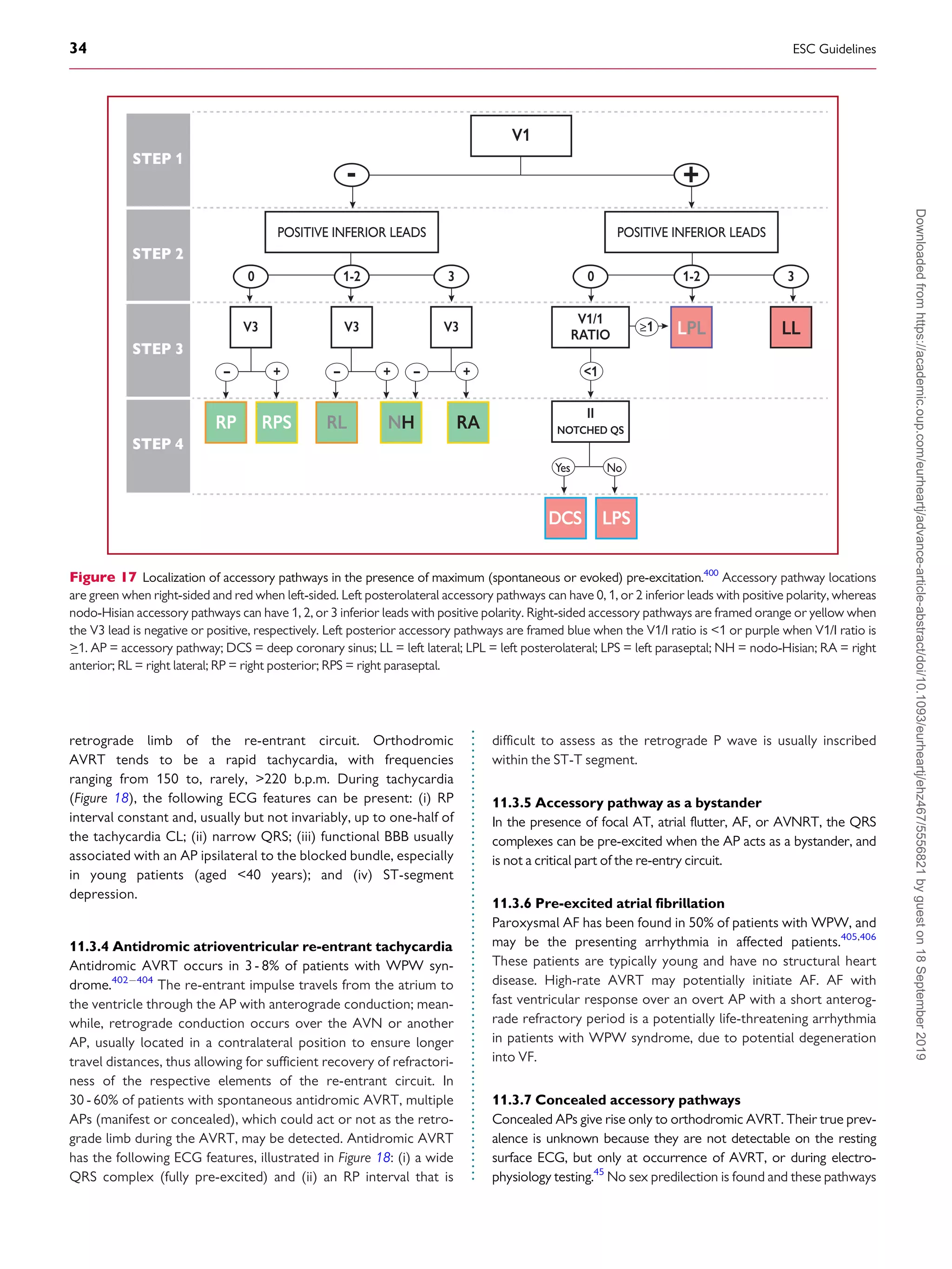 Brugada 2020--esc-guidelines-for-the-management-supraventricular ...