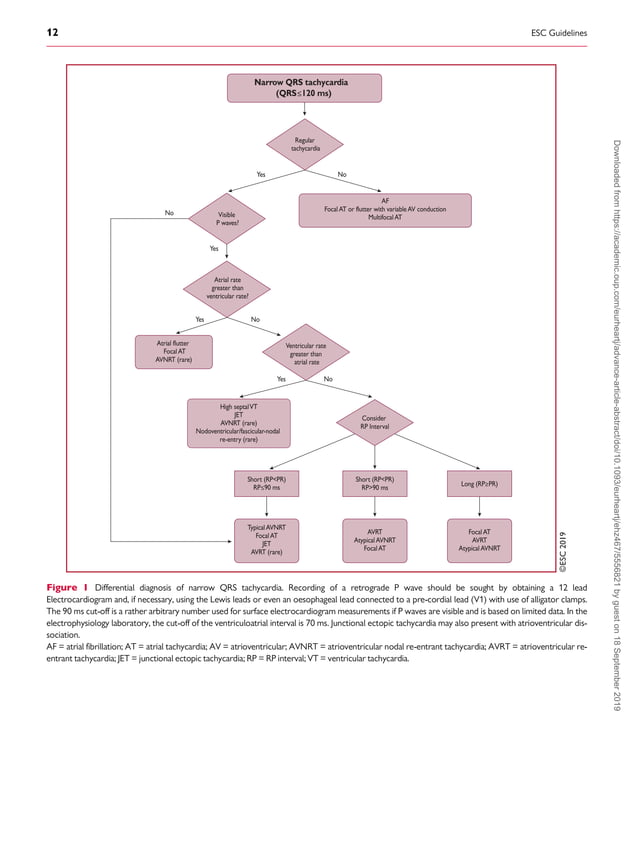 Brugada 2020--esc-guidelines-for-the-management-supraventricular ...