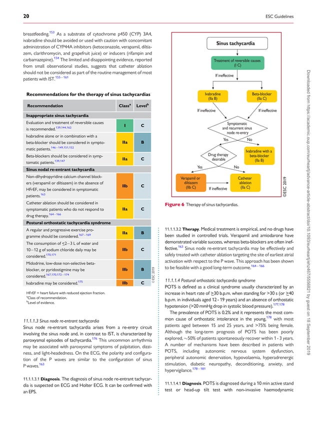 Brugada 2020--esc-guidelines-for-the-management-supraventricular ...