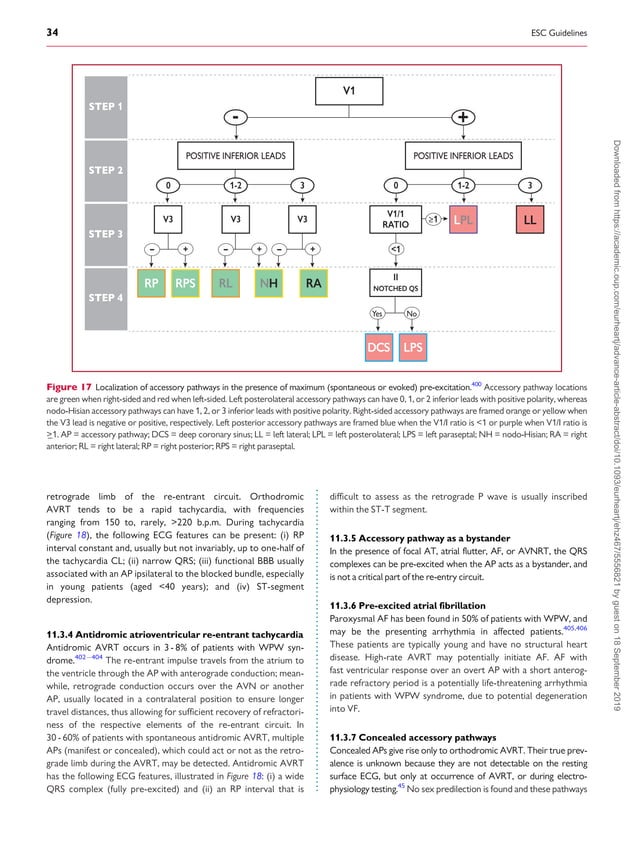 Brugada 2020--esc-guidelines-for-the-management-supraventricular tachycardia -samir rafla | PDF