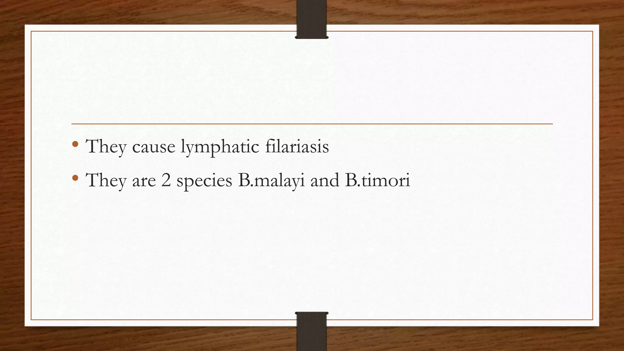 Brugia species | PPTX