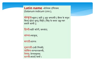 बृहती BRUHATIby dr. Vansh sharma2k22.pptx