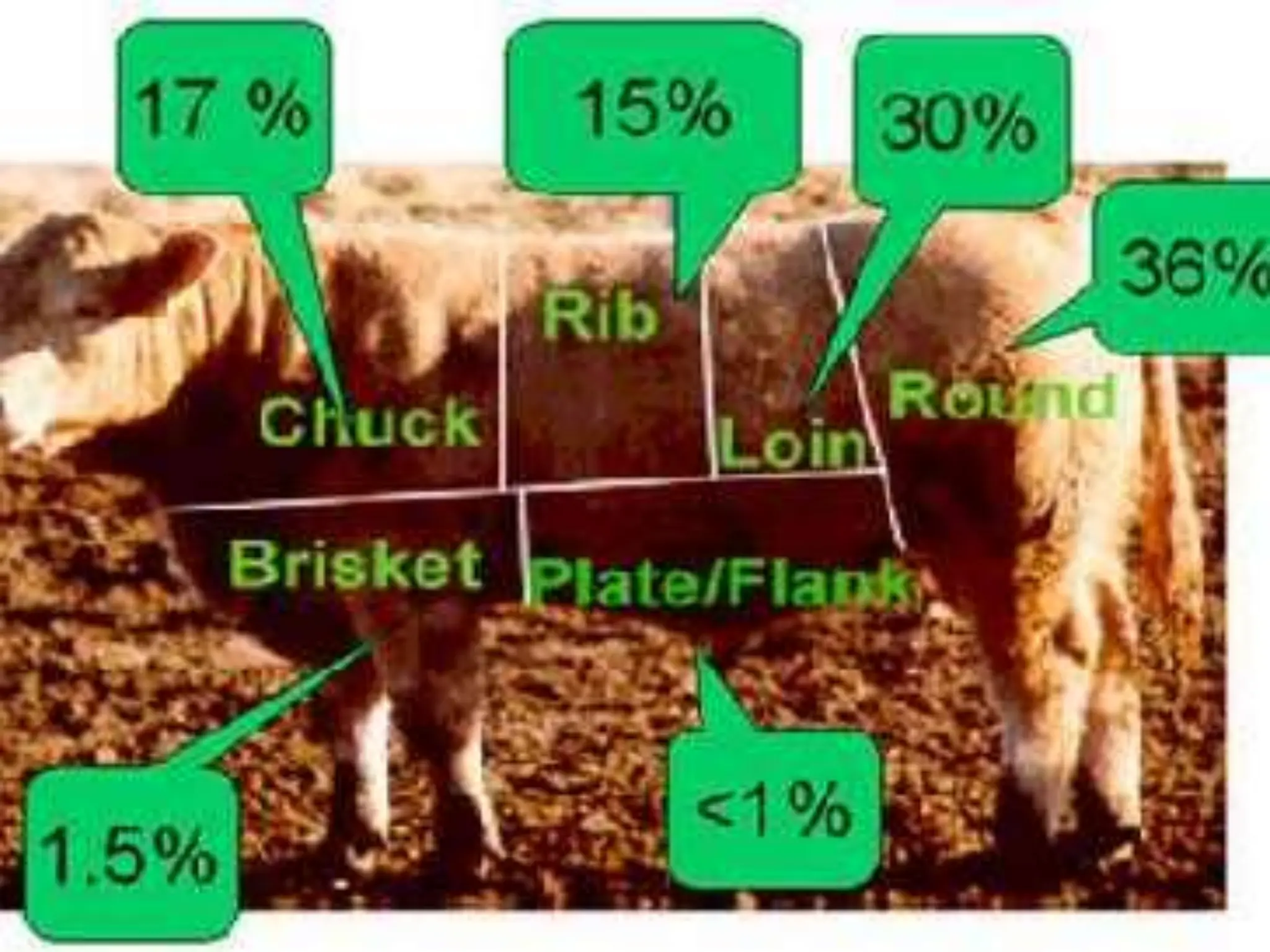Subcutaneous wounds bruises and Contusions .pptx | First Aid | Injuries