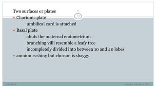 BRUK PLACENTA development AND Amniotic fluid metabolism.ppt