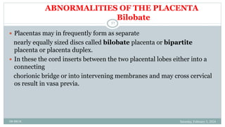 BRUK PLACENTA development AND Amniotic fluid metabolism.ppt
