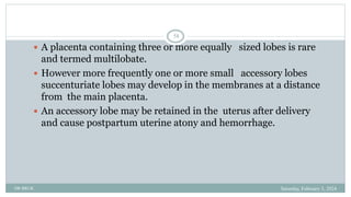 BRUK PLACENTA development AND Amniotic fluid metabolism.ppt