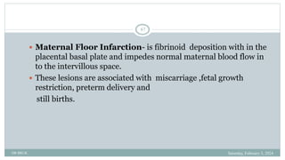 BRUK PLACENTA development AND Amniotic fluid metabolism.ppt