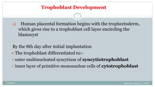 BRUK PLACENTA development AND Amniotic fluid metabolism.ppt