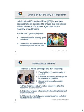 Understanding the IEP | PDF