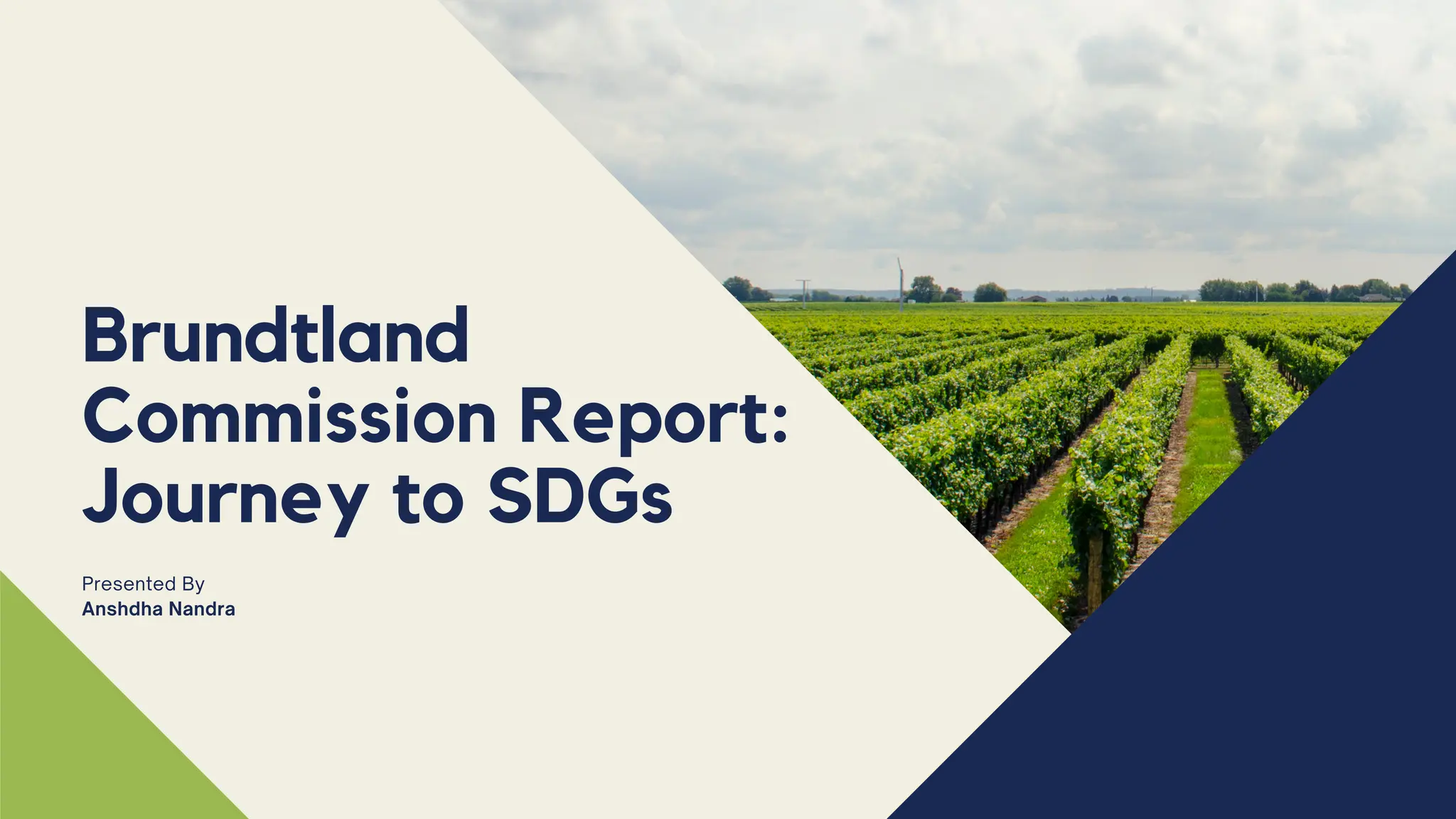 Brundtland Commission Report | PDF
