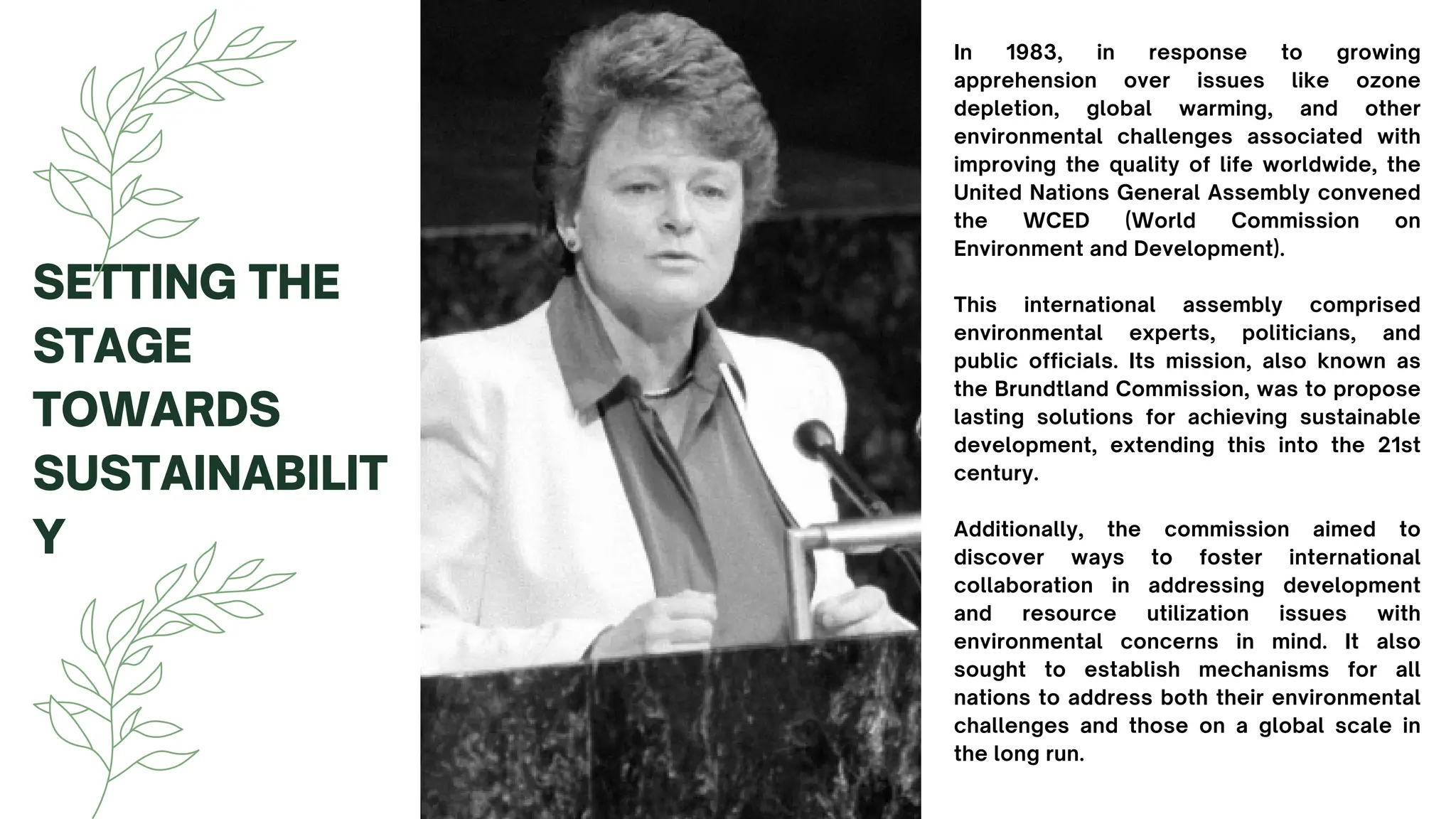 Brundtland Commission Report | PDF