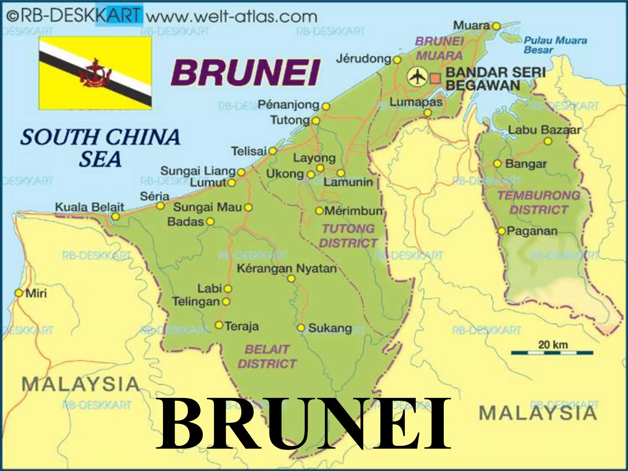 Brunei arts | PPTX