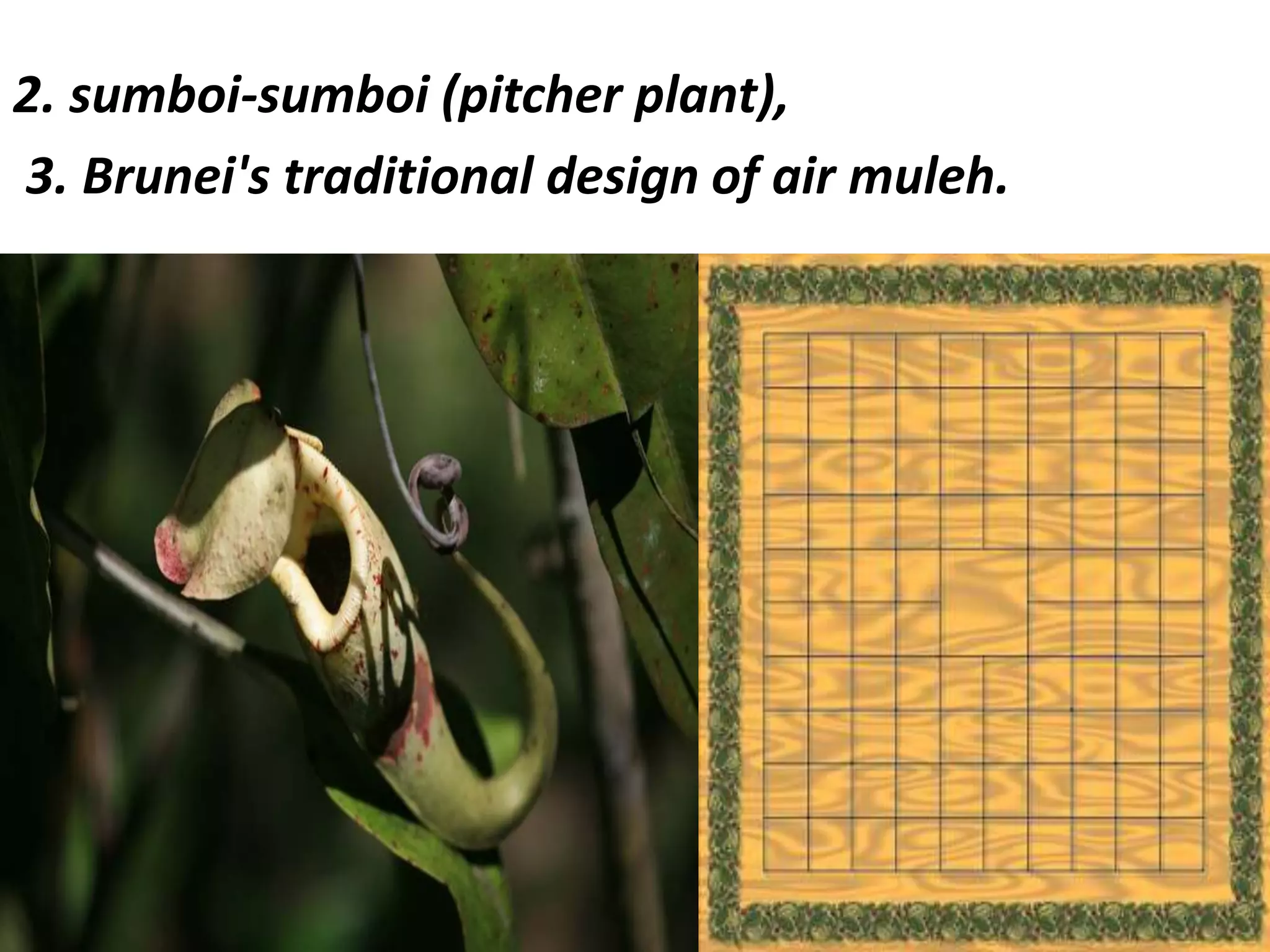 Brunei arts | PPTX