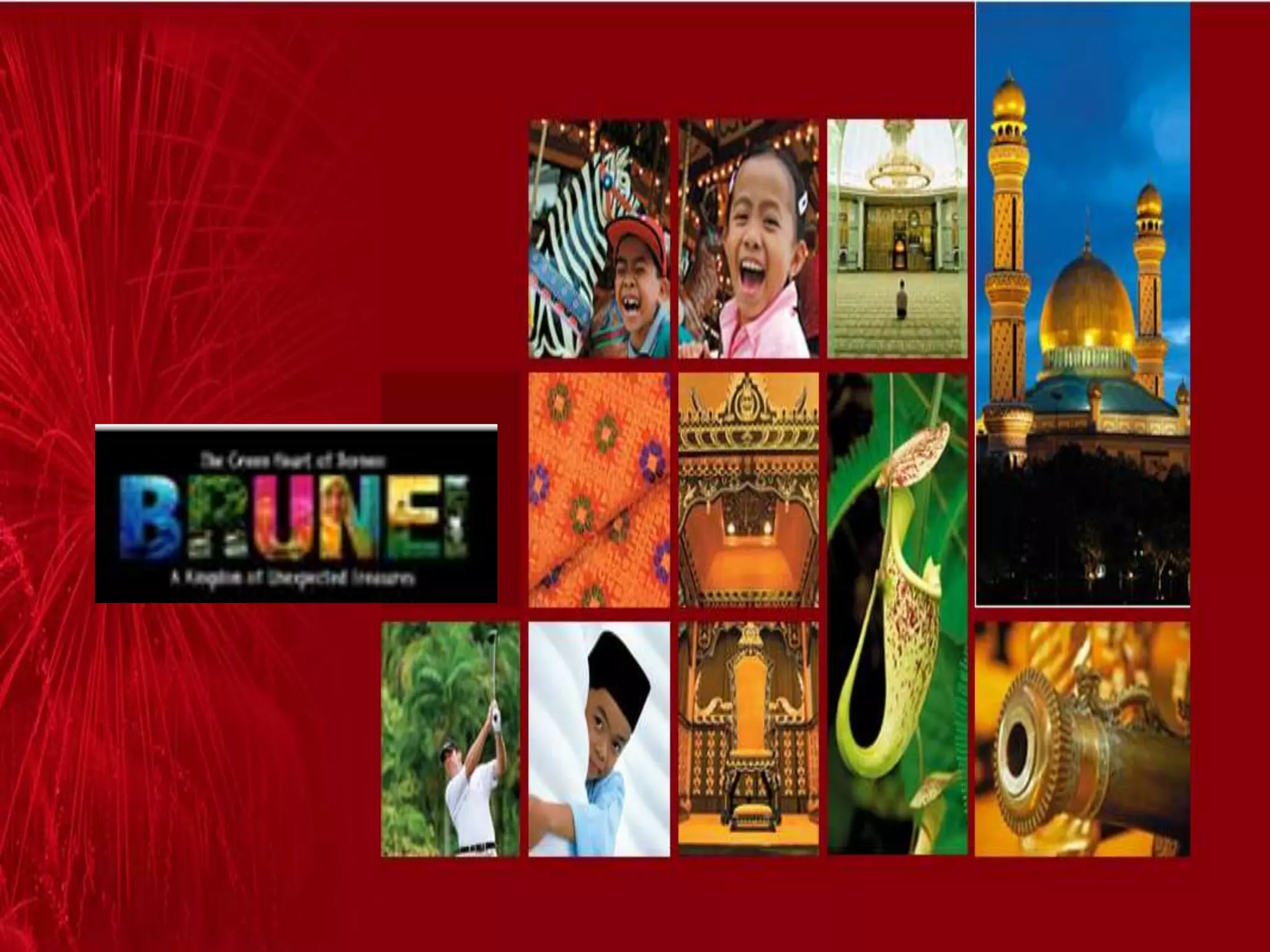 Social Studies culture of Brunei | PPTX