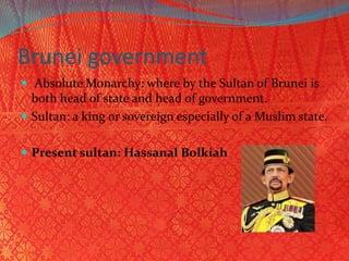 Social Studies culture of Brunei | PPTX