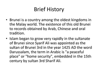 Brunei darussalam erin | PPTX