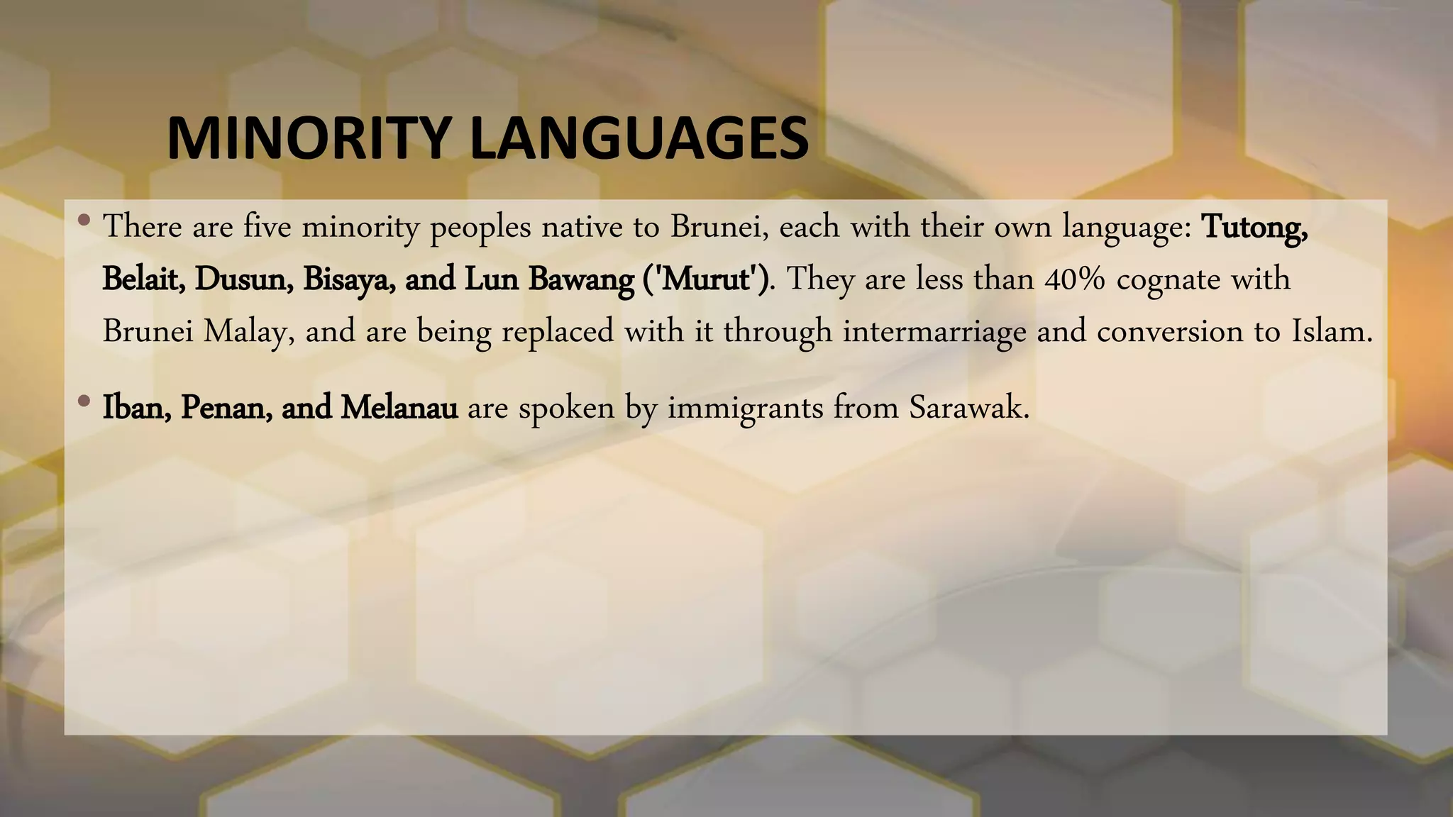 Brunei Darussalam Languages & Literature | PPTX