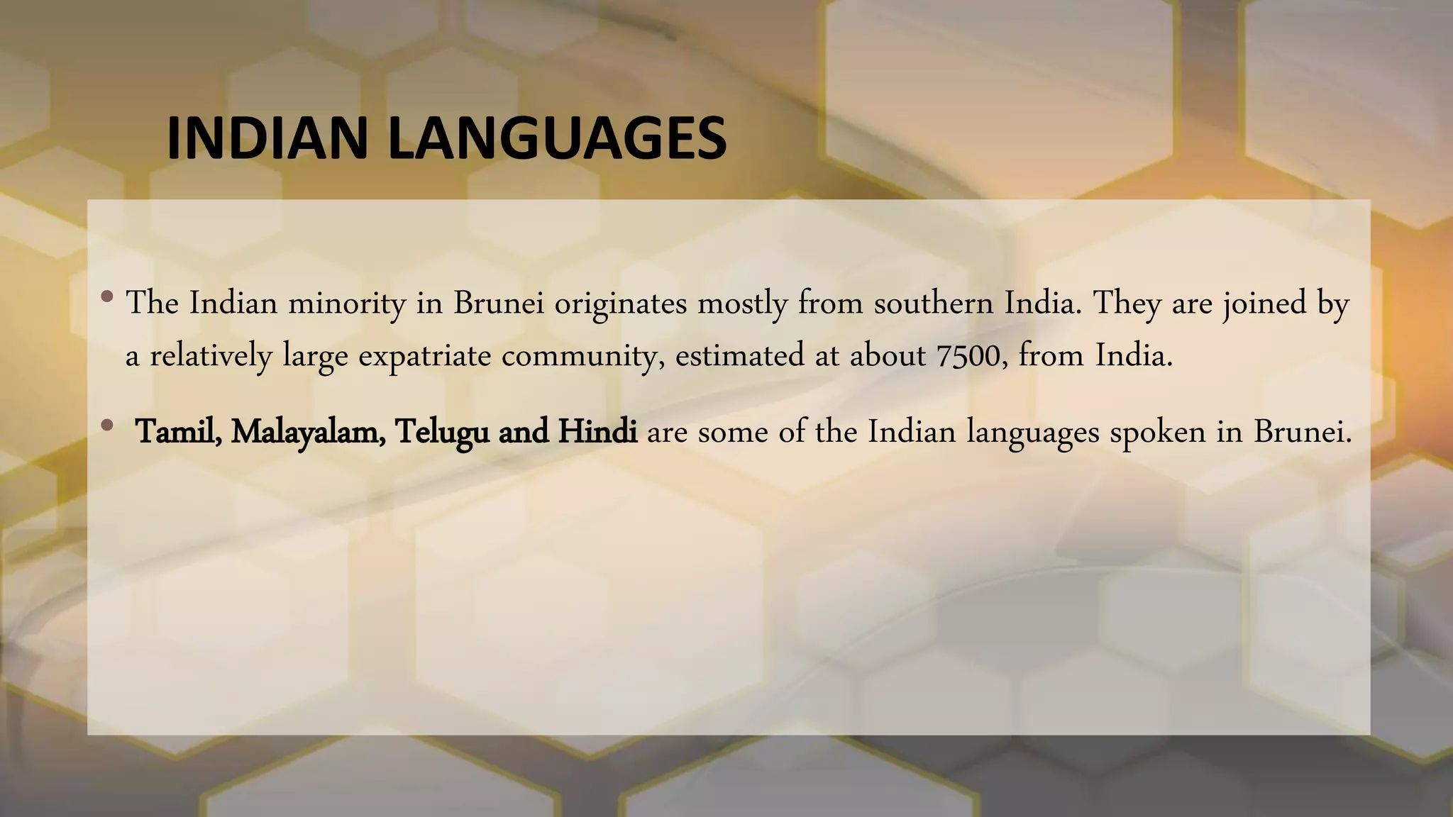 Brunei Darussalam Languages & Literature | PPTX