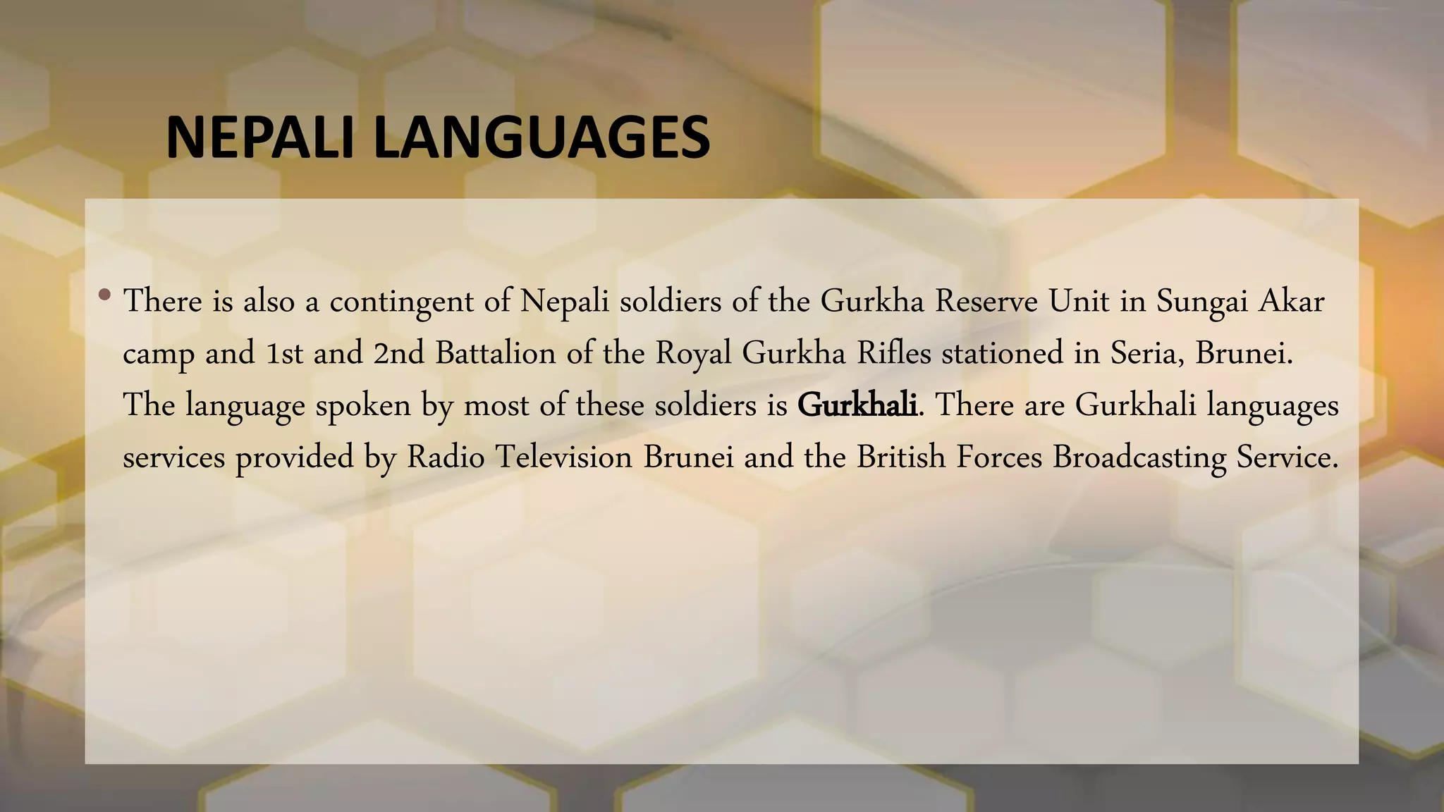 Brunei Darussalam Languages & Literature | PPTX