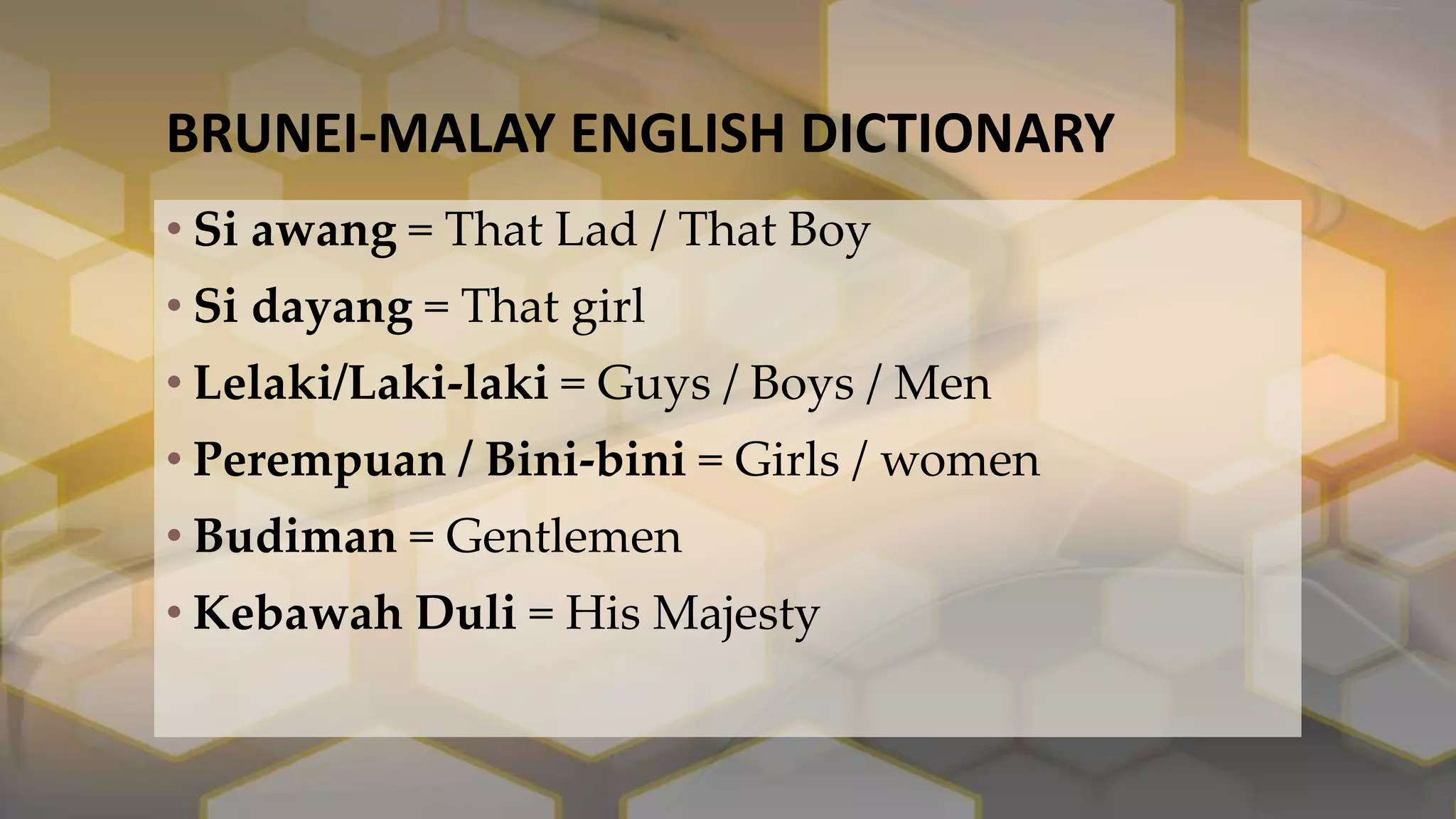 Brunei Darussalam Languages & Literature | PPTX