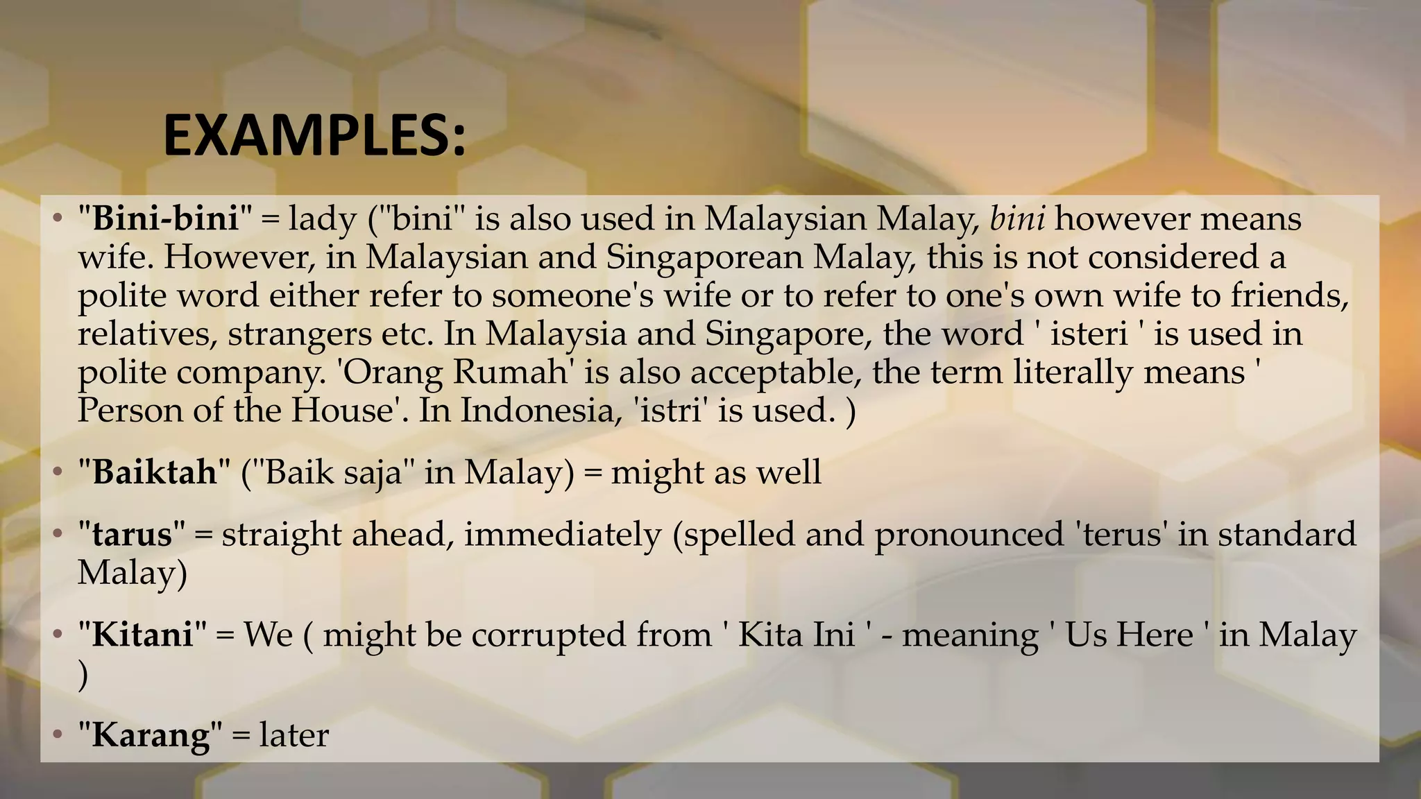 Brunei Darussalam Languages & Literature | PPTX