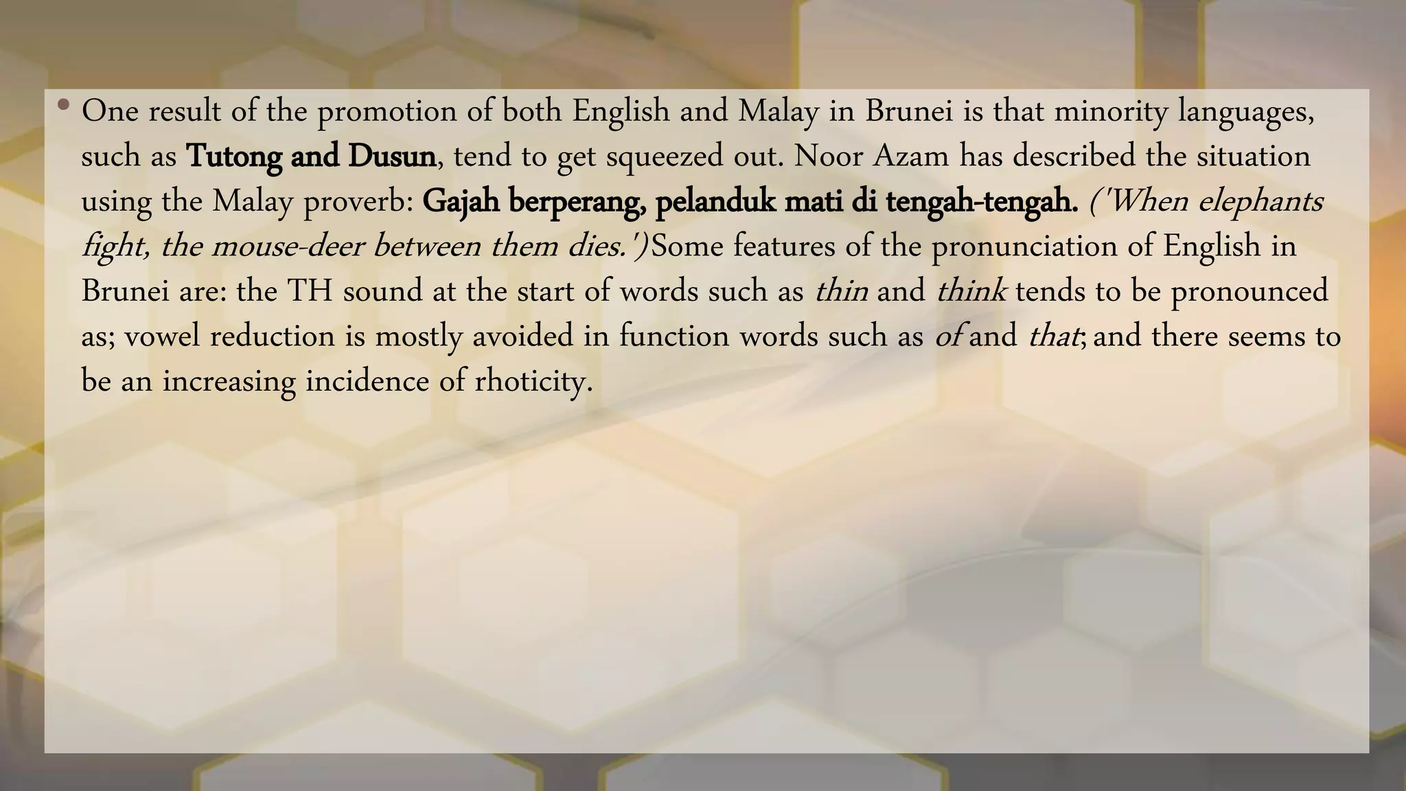 Brunei Darussalam Languages & Literature | PPTX