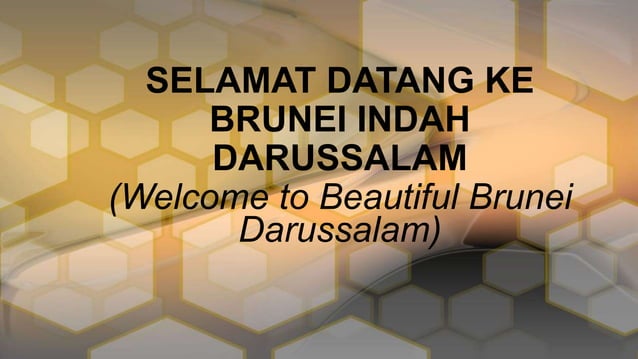 Brunei Darussalam Languages & Literature | PPTX