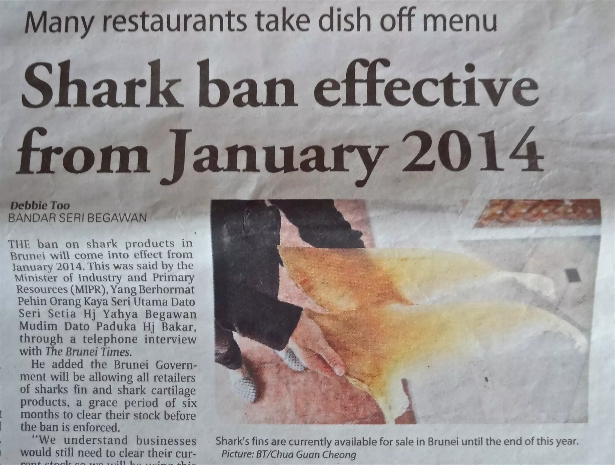 BRUNEI SHARK BAN EFFECTIVE FROM JANUARY 2014 | PDF