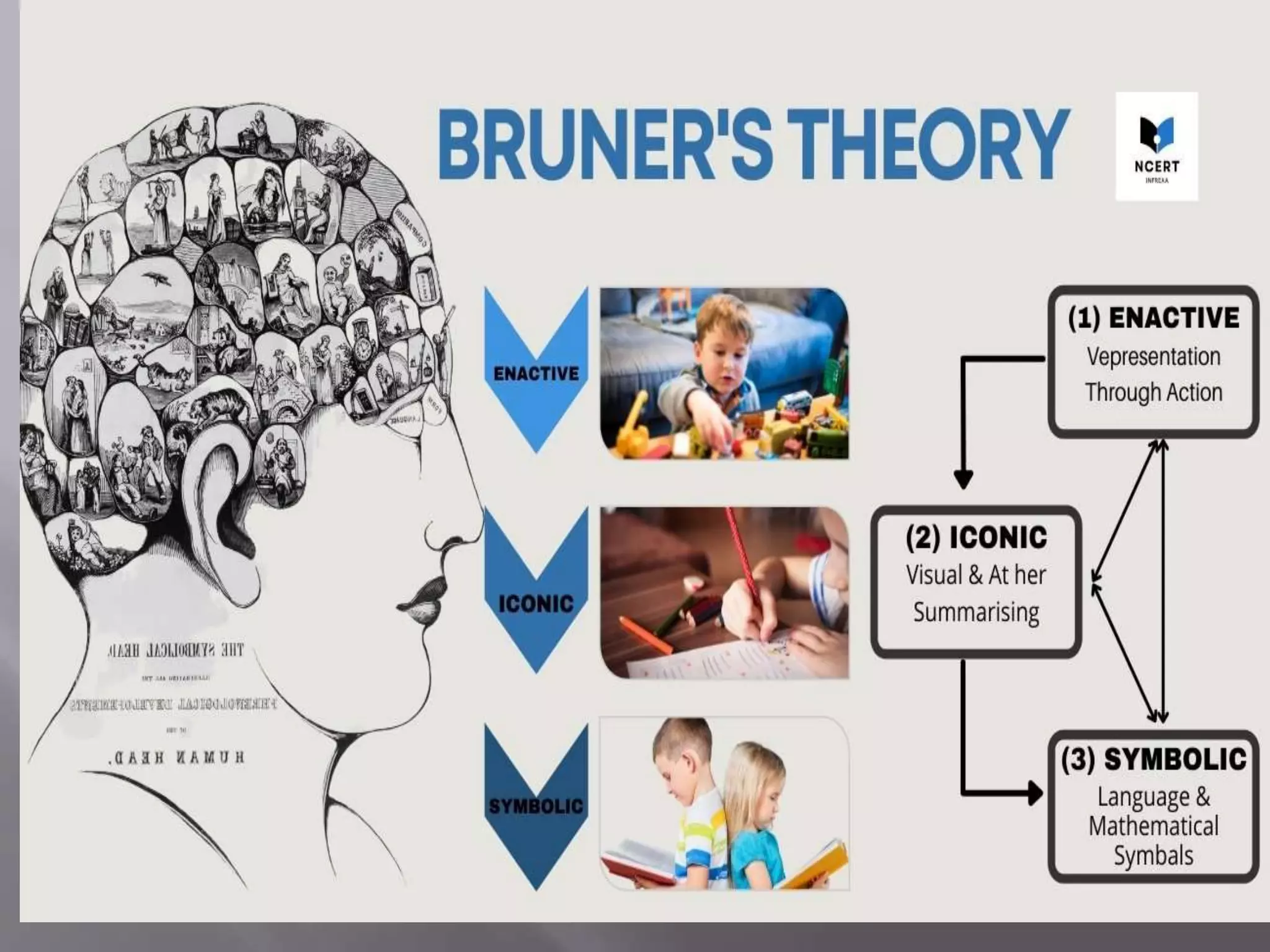 bruner application.pptx | Education