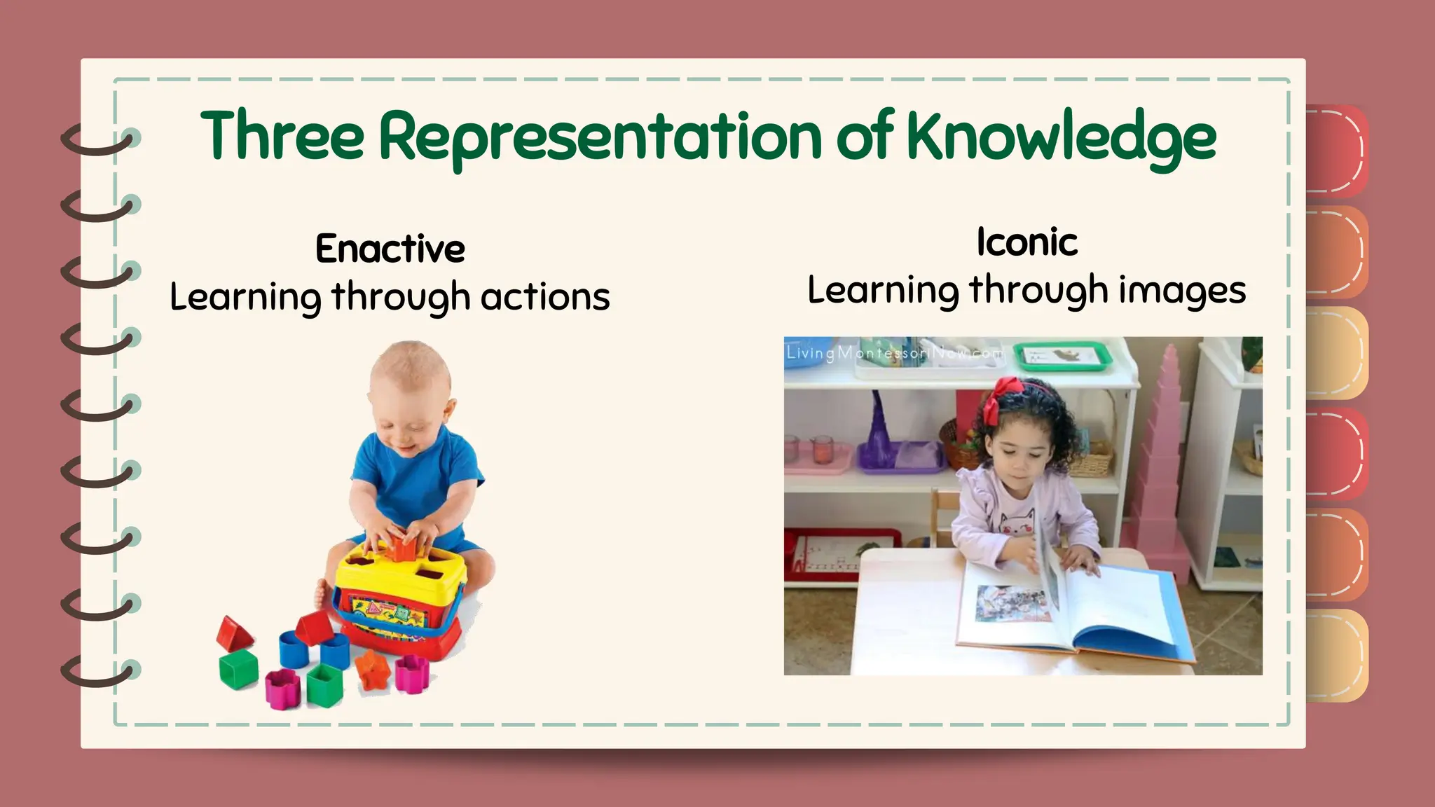 Bruner's Constructivist Theory, Gestalt Theory and Ausubel's ...