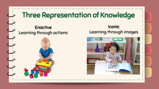 Bruner's Constructivist Theory, Gestalt Theory and Ausubel's ...