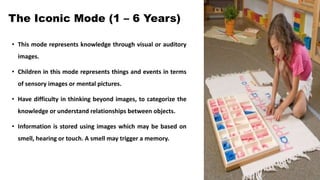 Bruner's modes of cognitive development | PPTX