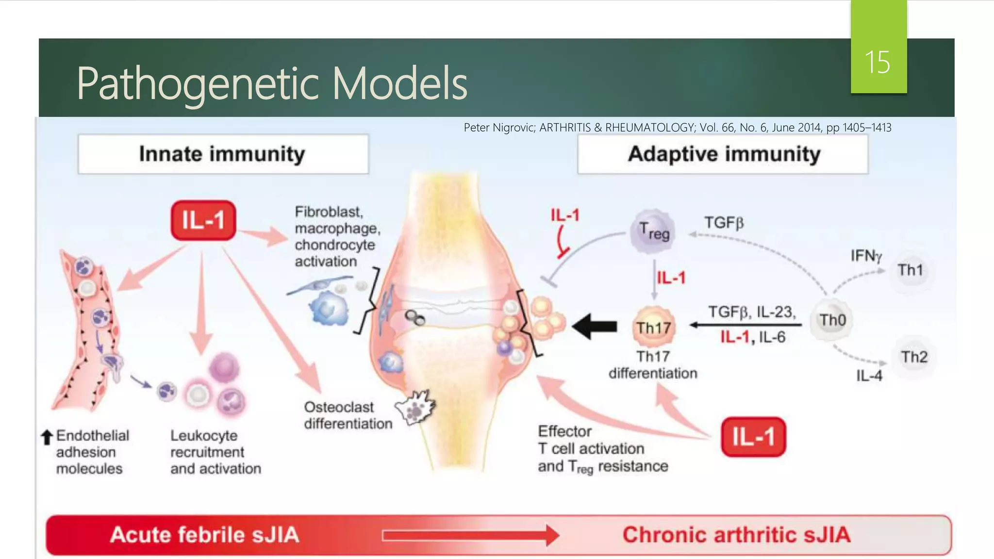 What is SJIA - How is it different than other diseases - Dr. Hermine ...
