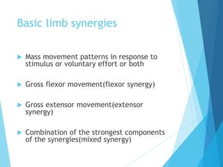 BRUNNSTORM APPROACH.pptx
