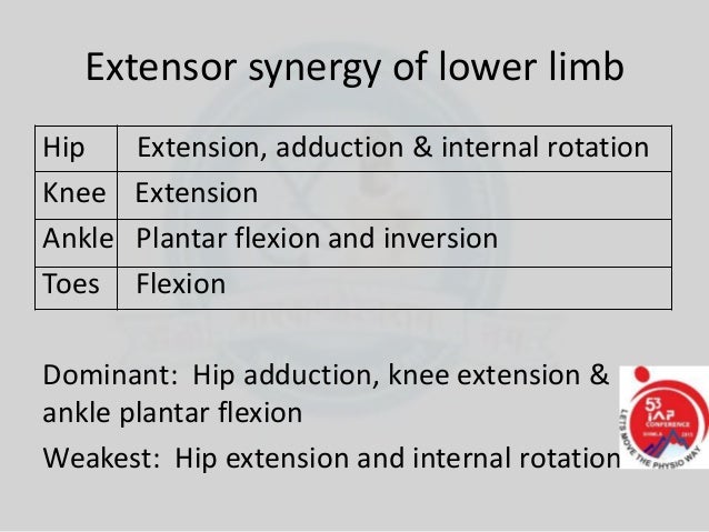 Upper extremity flexion synergy pattern - lerypassion