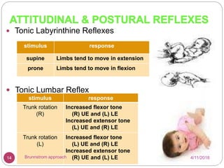 Tonic Lumbar Reflex