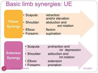 Brunnstrom approach | PPT