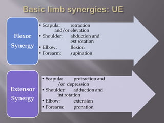 Brunnstrom Approach…..................pptx