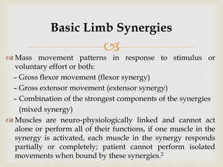 Brunnstrom Movement Therapy(Physiotherapy).pdf.pdf