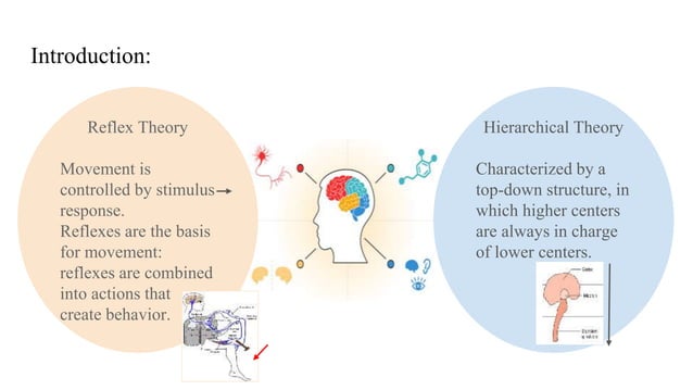 Brunnstrom Approach | PPT