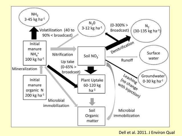Greenhouse gas trade-offs and N cycling in low-disturbance soils with ...