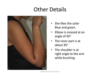 Brush - ergonomics | PPT