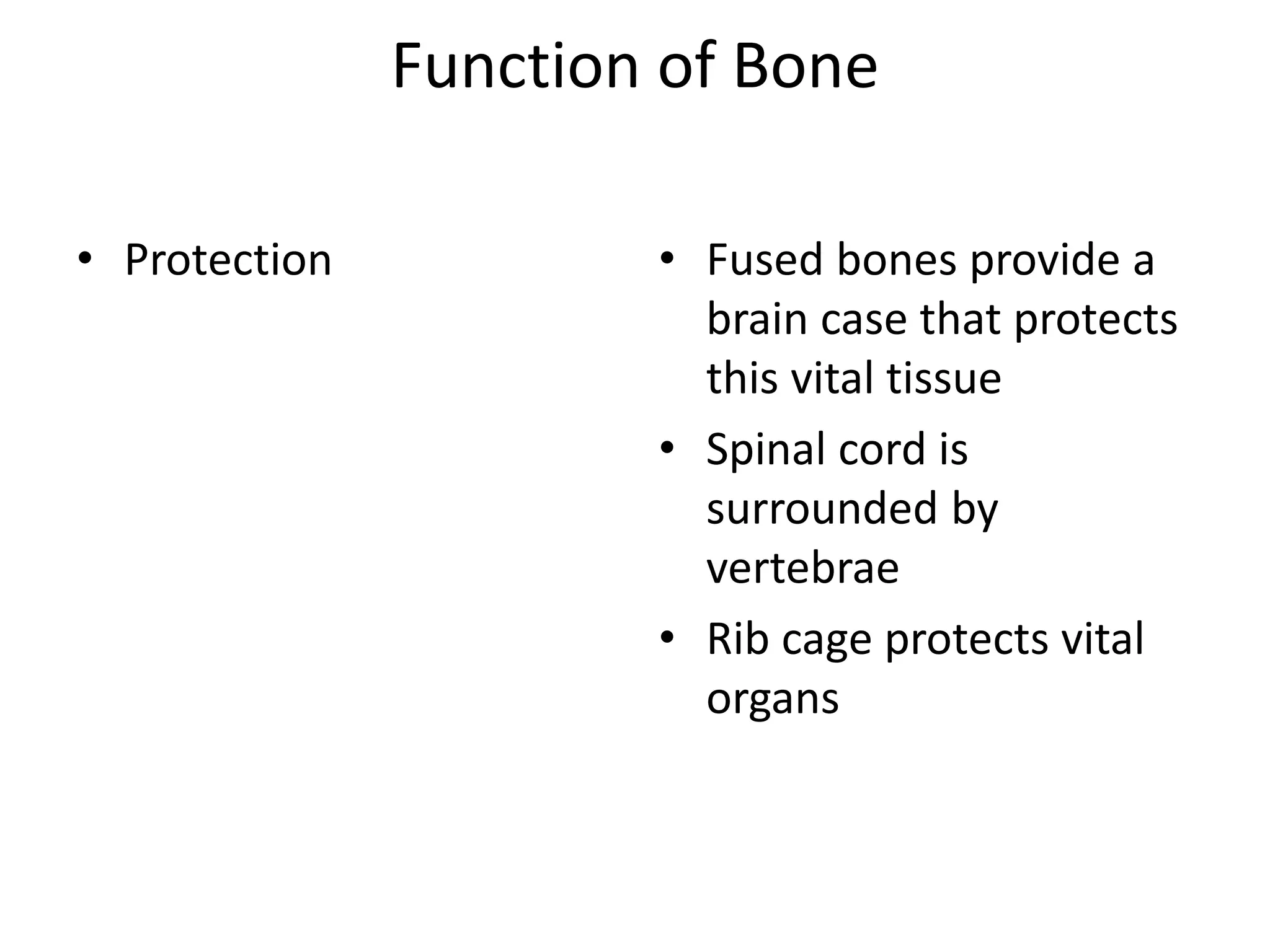 Anatomy of skeletal system | PPTX