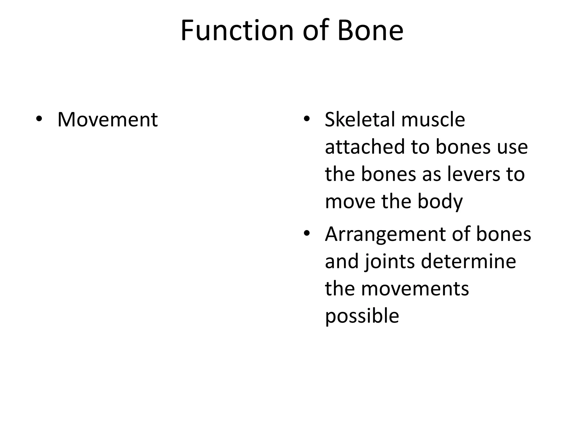 Anatomy of skeletal system | PPTX | Death, Injury, or Military Conflict ...