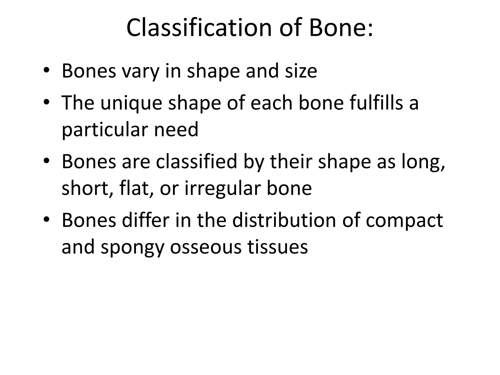 Anatomy of skeletal system | PPTX