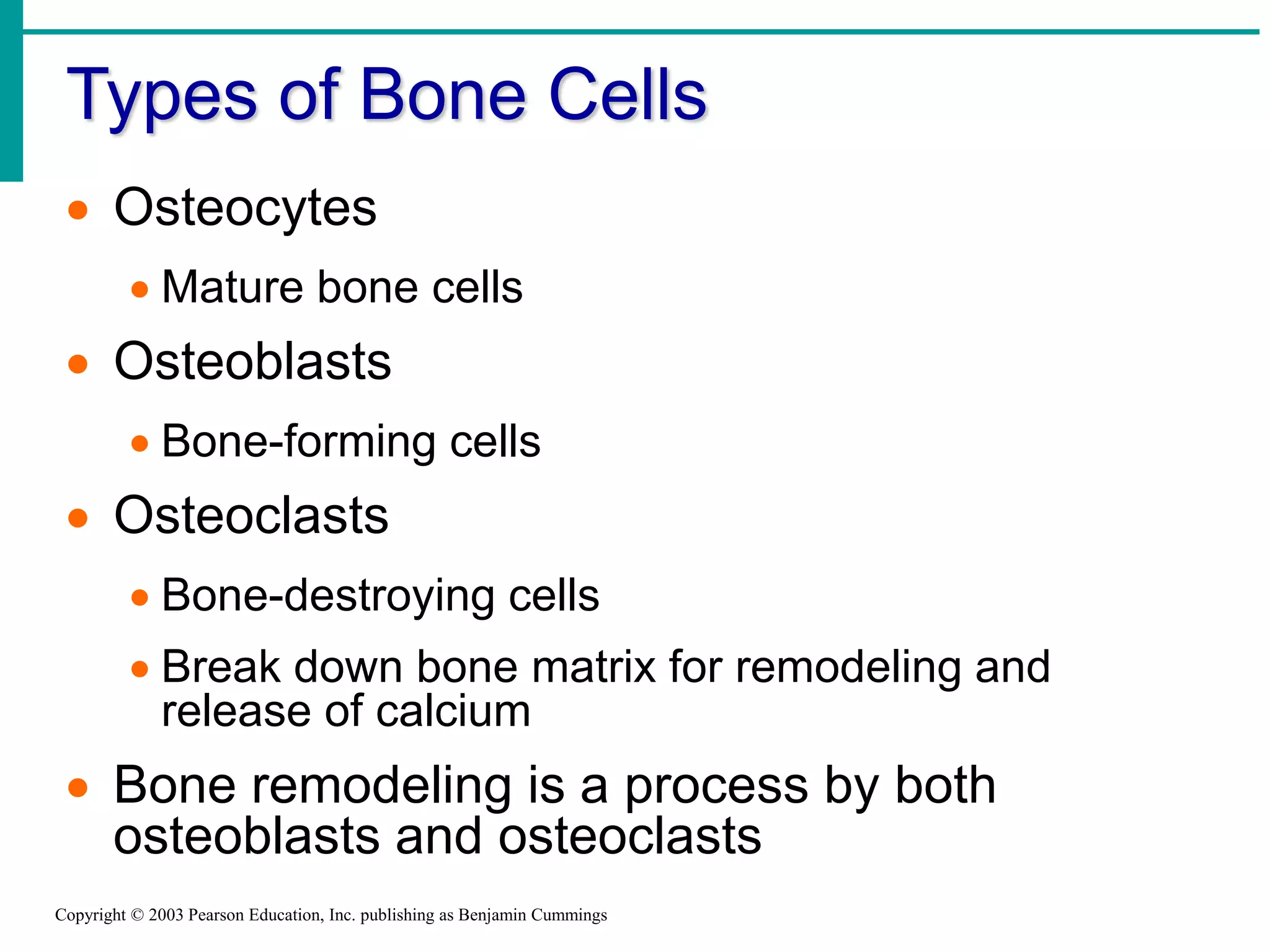 Anatomy of skeletal system | PPTX