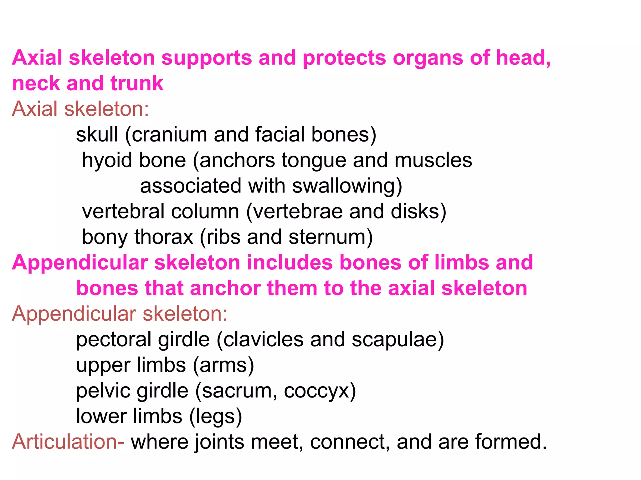 Anatomy of skeletal system | PPTX