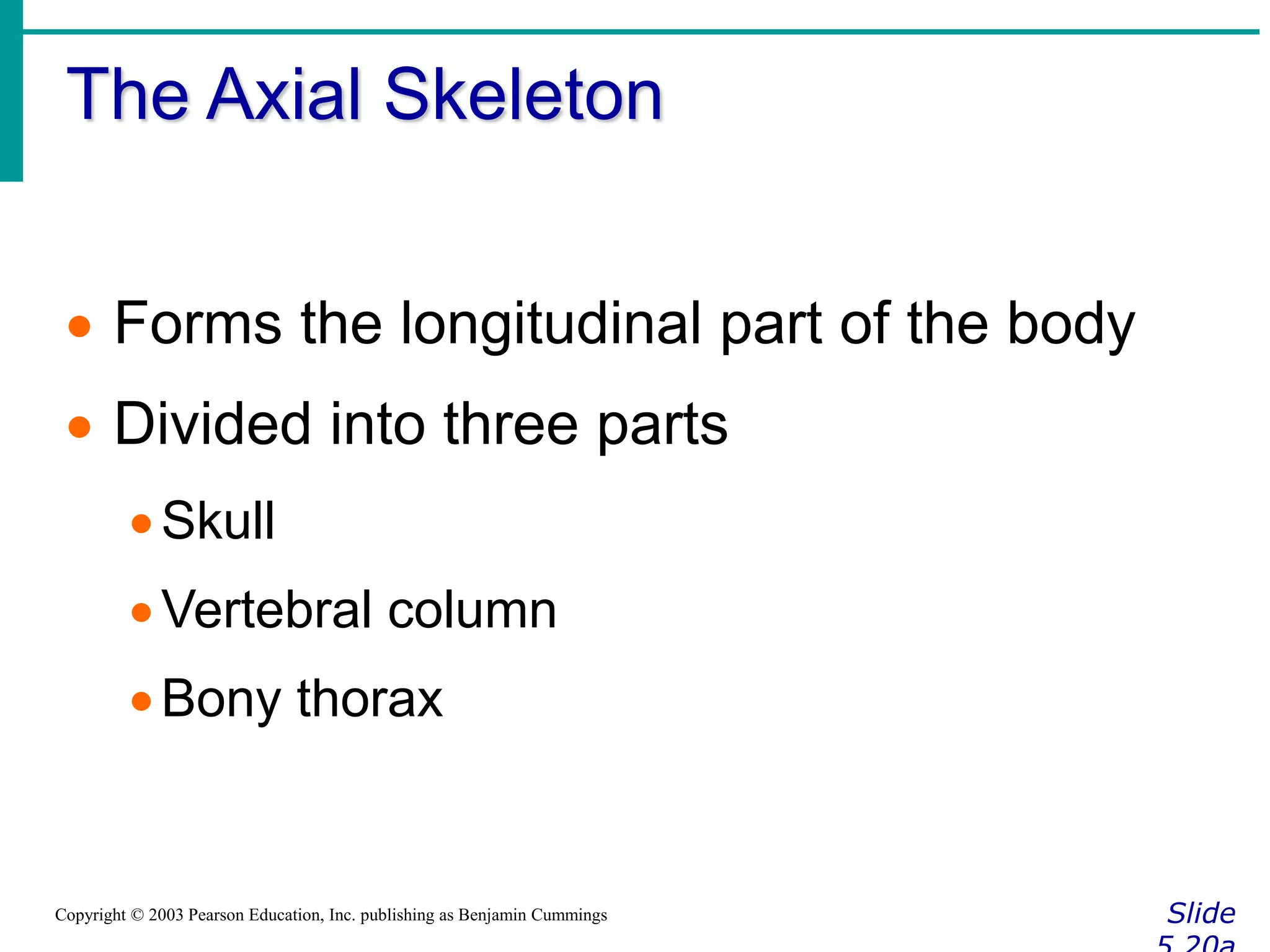 Anatomy of skeletal system | PPTX