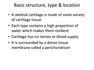 Anatomy of skeletal system | PPTX