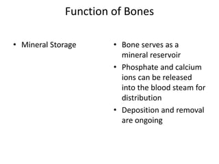 Anatomy of skeletal system | PPTX